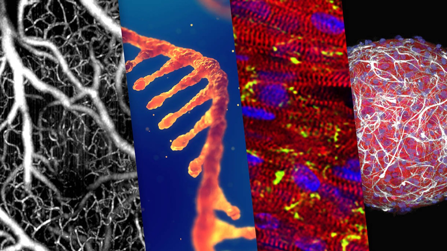 new-institute-convenes-biomedical-engineers-and-clinicians-to-create